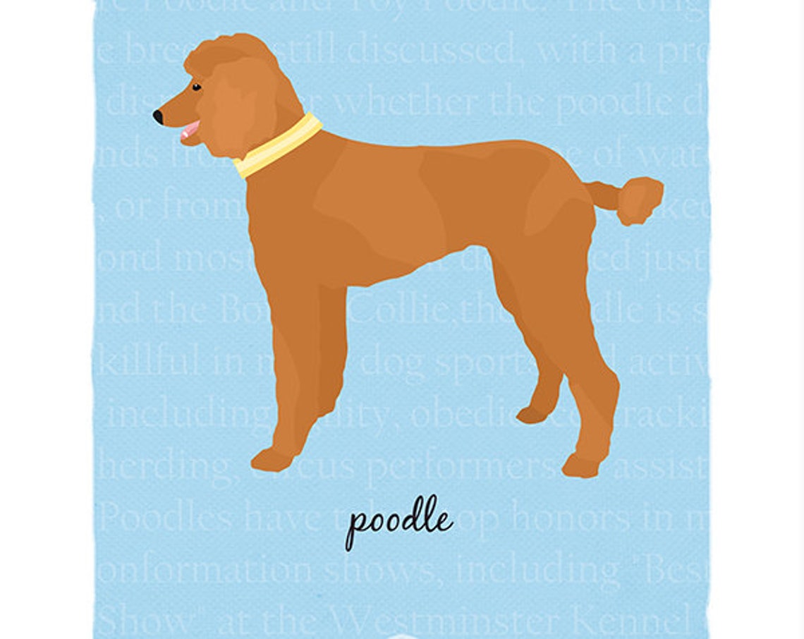 Red Standard Poodle Custom Dog Art Print - Etsy