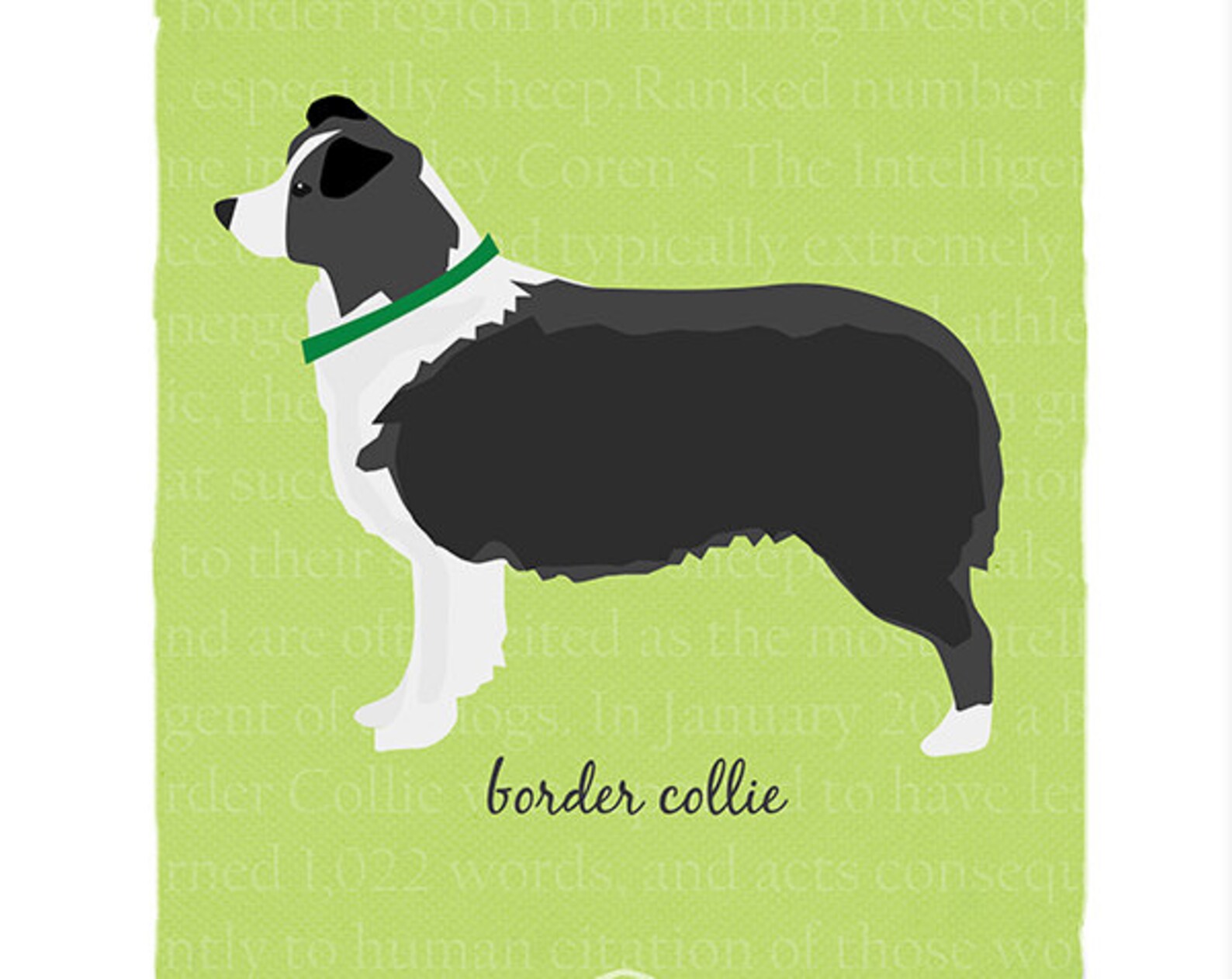 Border Collie Breed Custom Dog Art Print - Etsy