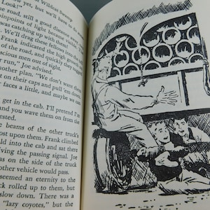 The Hardy Boys #31 - the Secret of Wildcat Swamp - Hardcover - Etsy