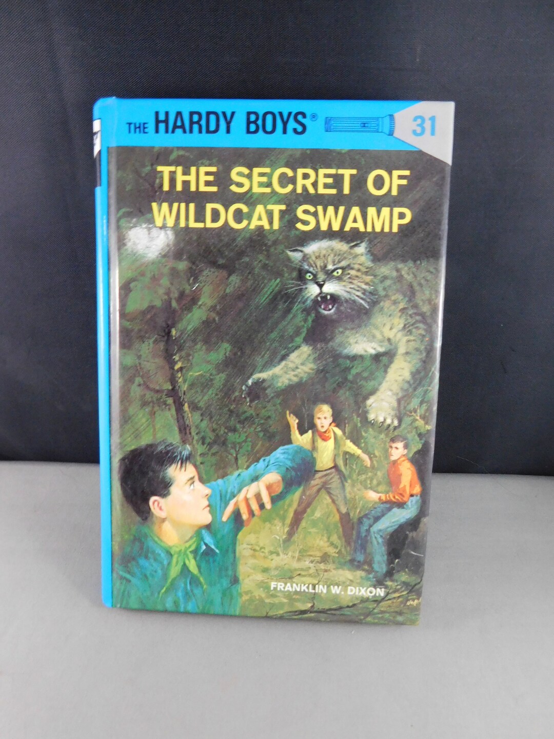 The Hardy Boys #31 - the Secret of Wildcat Swamp - Hardcover - Etsy