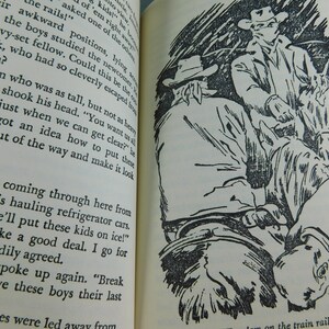 The Hardy Boys #31 - the Secret of Wildcat Swamp - Hardcover - Etsy