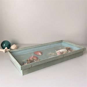 Vintage Custom Made Shadowbox Shell Art Framed Original Seashell ...