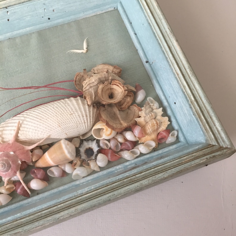 Vintage Custom Made Shadowbox Shell Art Framed Original - Etsy