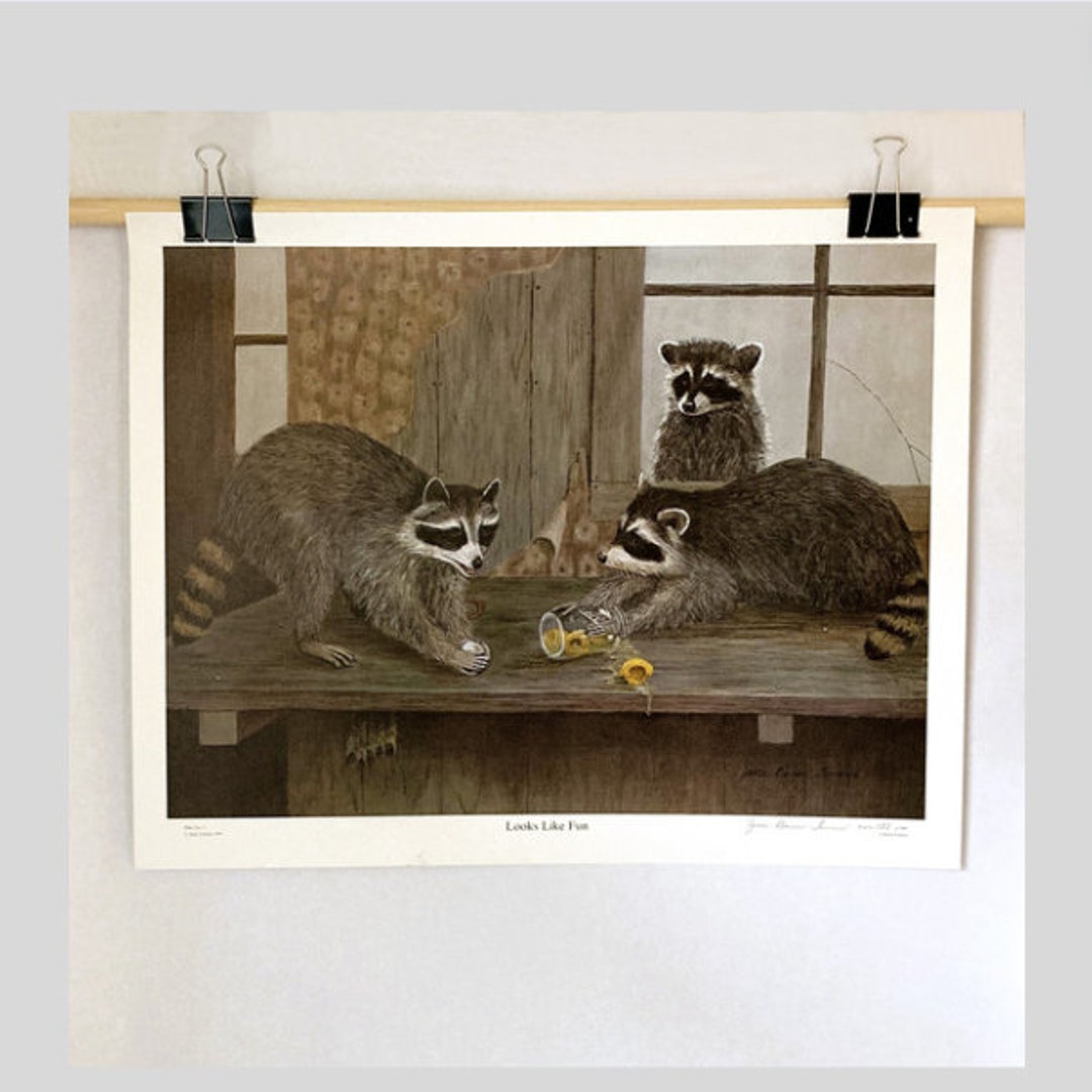 Vintage 1979 Limited Edition Lithographs of Raccoons Entitled Looks ...