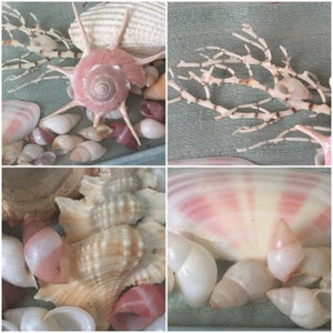 Vintage Custom Made Shadowbox Shell Art Framed Original Seashell ...