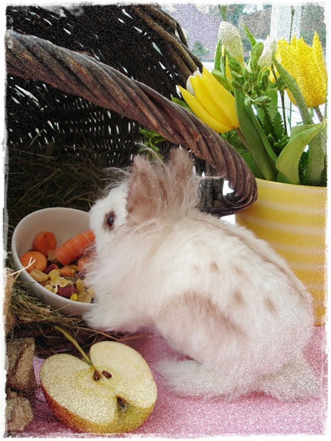 Sewing Pattern PDF Instant Download Pattern Ebook Rabbit BERT 20 Cm ...