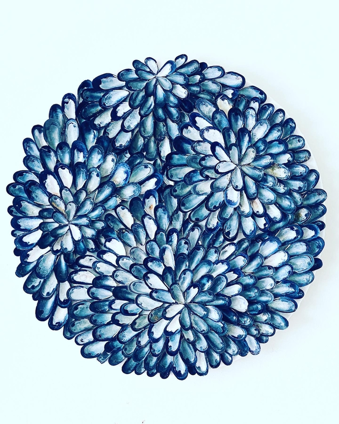 Abha Blue Gray and White Wall Art, Mussel Shells, Handmade, Beach House ...