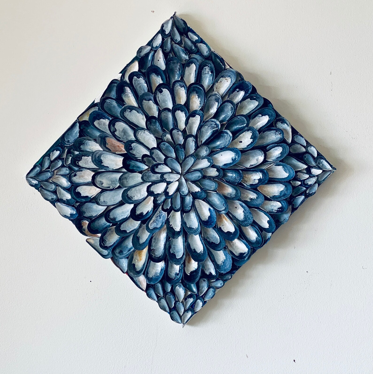 Abha Shell Wall Decor, Blue Grey and White, Beach Vibes, Mussel Shells ...