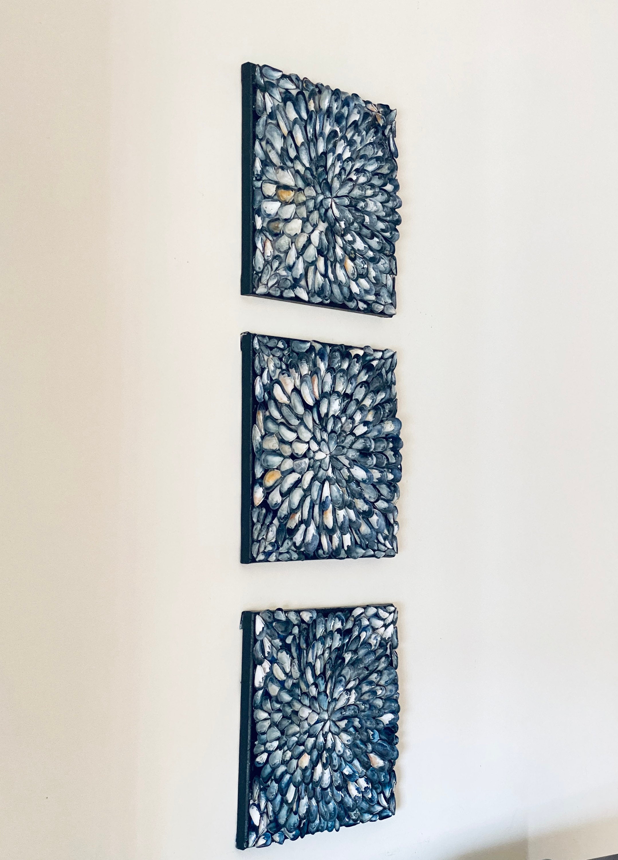 Abha Shell Wall Decor, Blue Grey and White, Beach Vibes, Mussel Shells ...