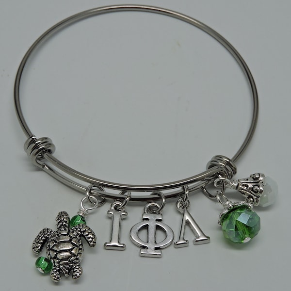 Iota Phi Lambda Turtles - Etsy
