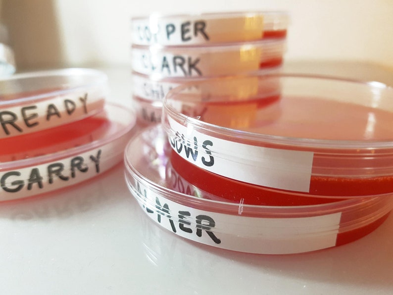 Prop Replica the Thing Blood Tests Inspired by Movie by John - Etsy