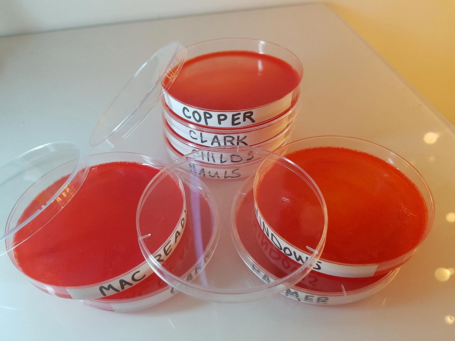 Prop Replica The Thing Blood Tests inspired by movie by John | Etsy