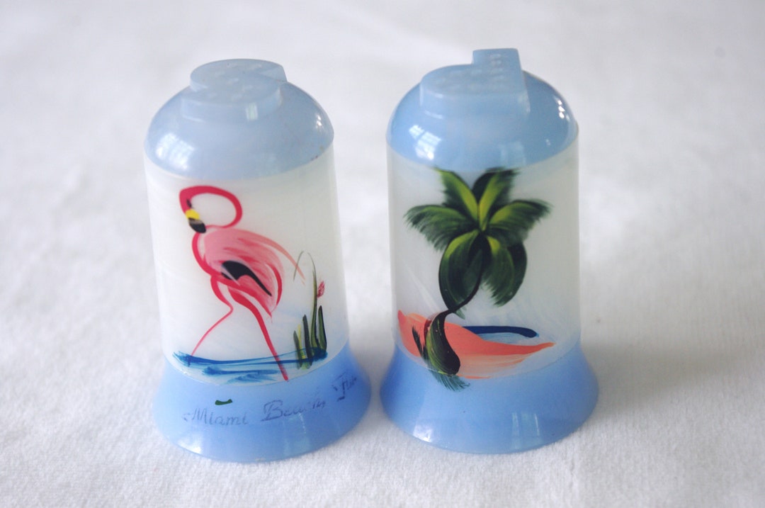 Vintage Salt & Pepper Set: Light Blue Hard Plastic miami - Etsy