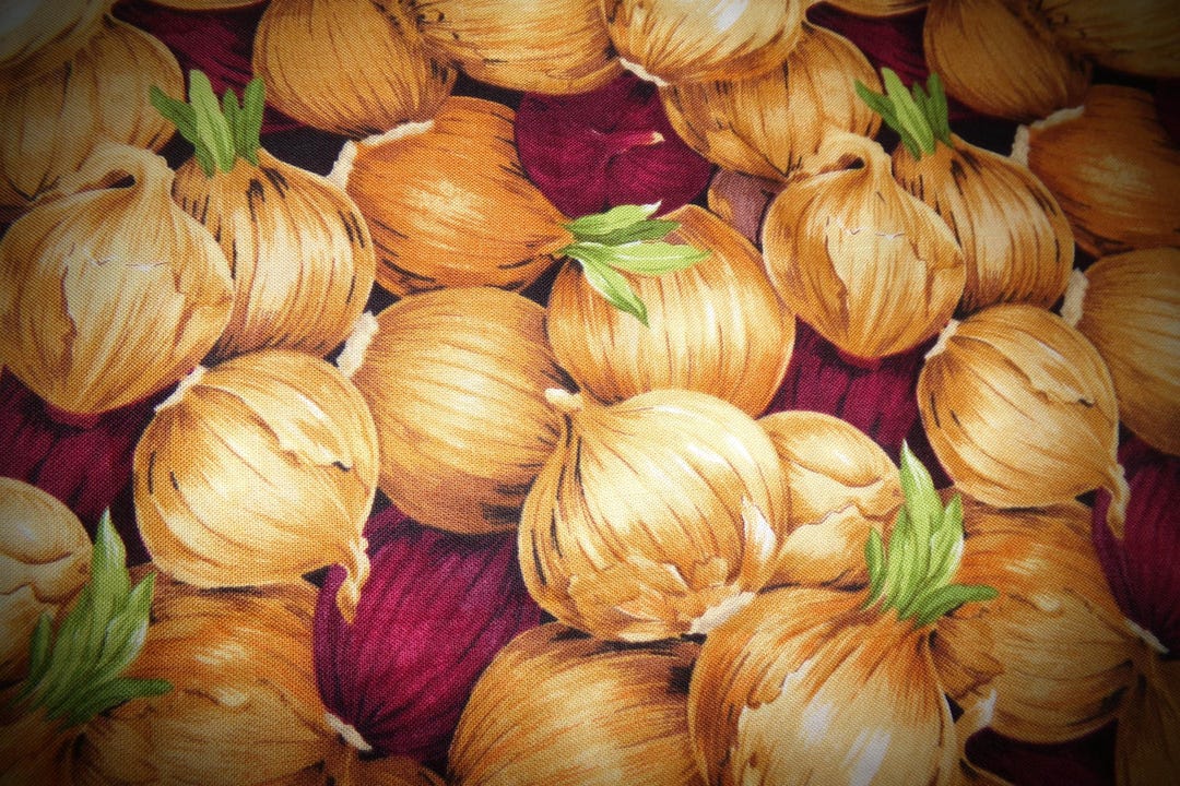 Farmers Market Onion Fabric / Vegetable Fabric / Dinner Fabric ...