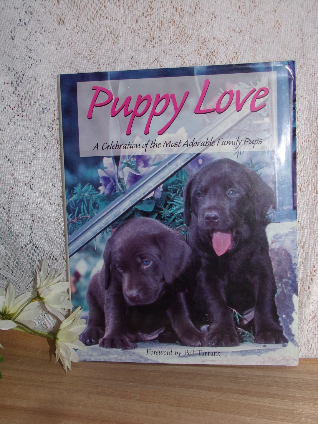 Vintage Puppy Book / Puppy Love Book / All About Pups / Family Dog ...