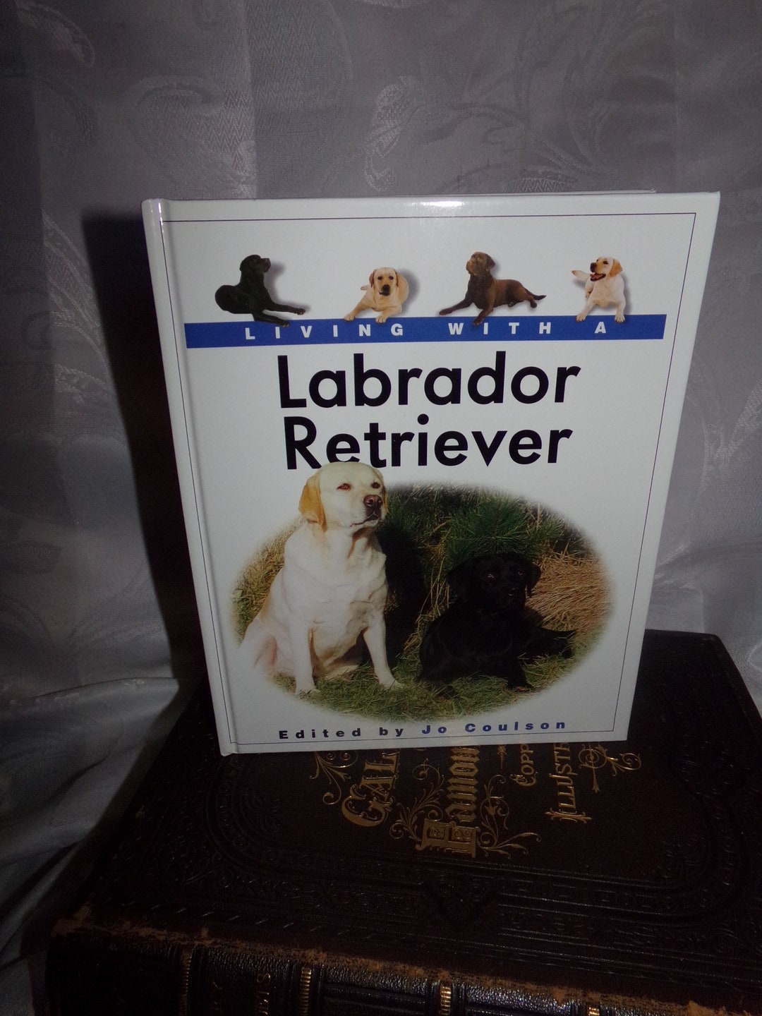Dog Book / Living With a Labrador Retriever / Showing Your Dog / Caring ...