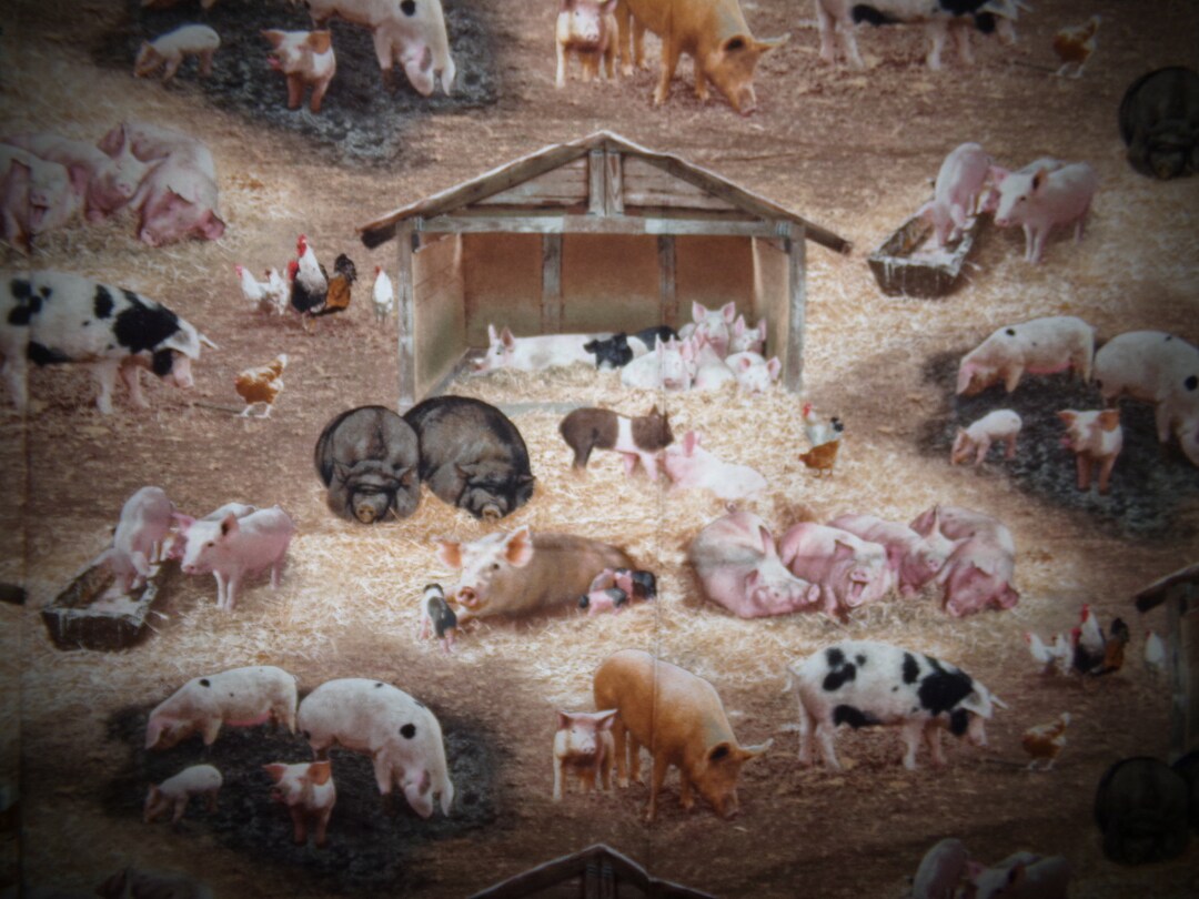 Pigs on the Farm Fabric / End of Bolt Cotton Fabric / Designer Pig ...