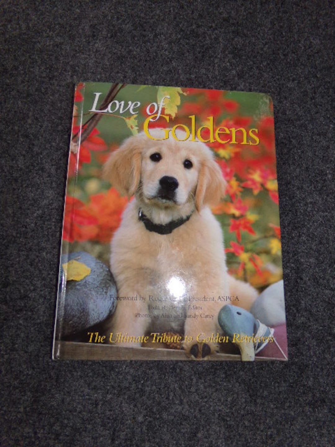 Golden Retriever Book / Love of Goldens / Stories of Goldens / Tales of ...