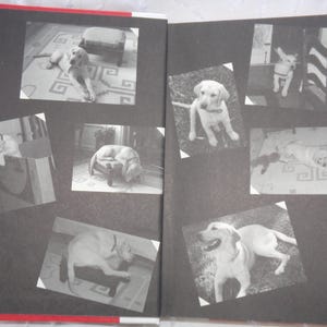 Dog Book / Marley and Me Book / Life With the Worlds Worst Dog / - Etsy