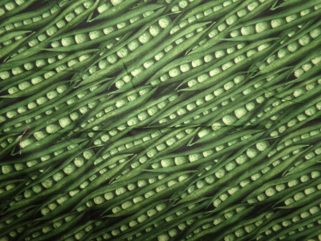 Vintage Pea Pod Fabric / Farmers Market Pea Fabric / Vintage Food ...