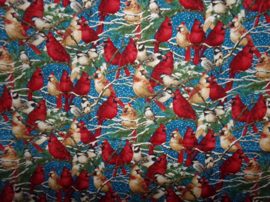 Winter Bird Fabric / Cardinal Bird Fabric / Fabric for Bird Quilt ...