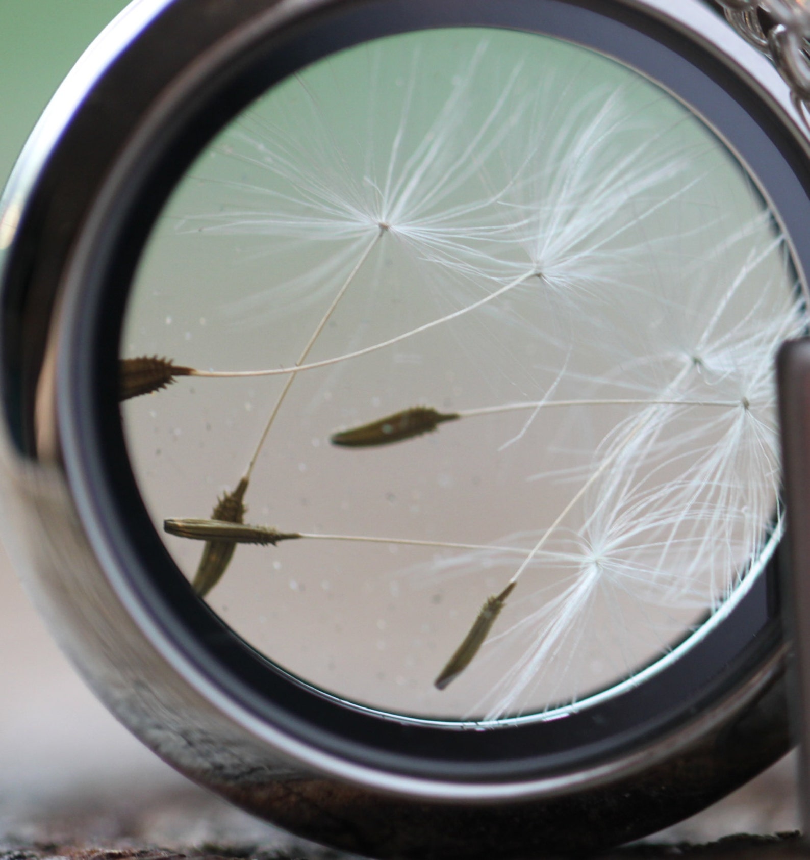 Make A Wish Hand Stamped Glass Locket With Real Dandelion - Etsy