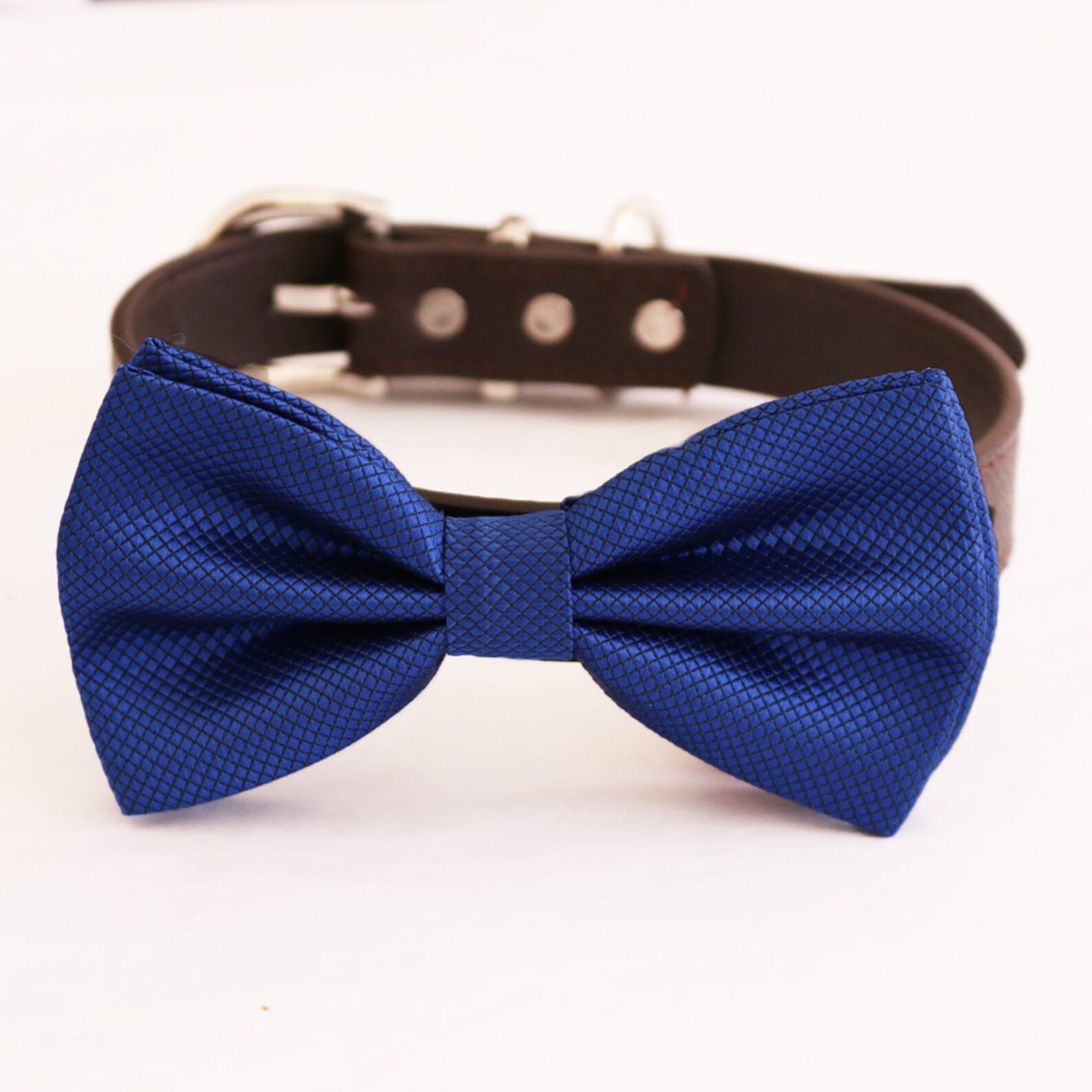 Royal blue bow tie collar XS to XXL collar and bow tie | Etsy
