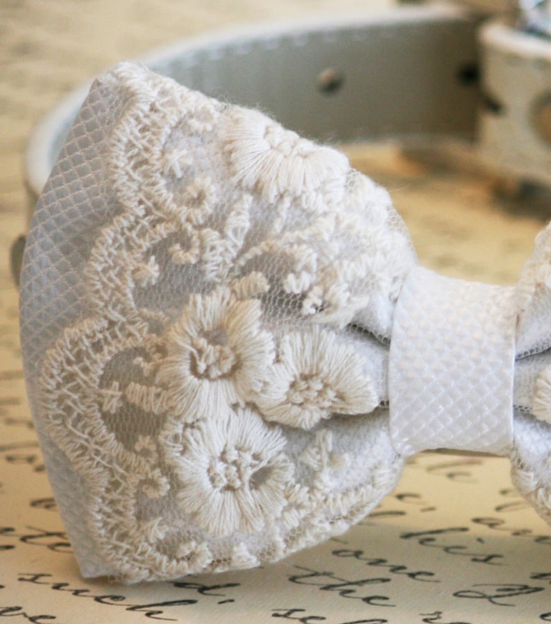 White lace bow tie dog collar girl collar M to XXL Collar | Etsy