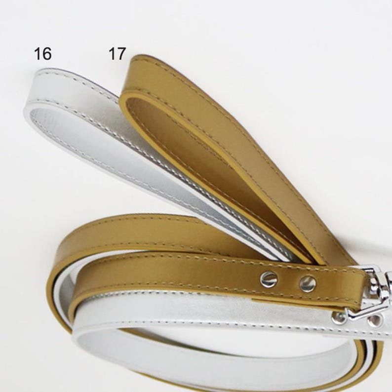 Silver Dog Leash Pet Wedding Accessory Silver Leather Leash - Etsy