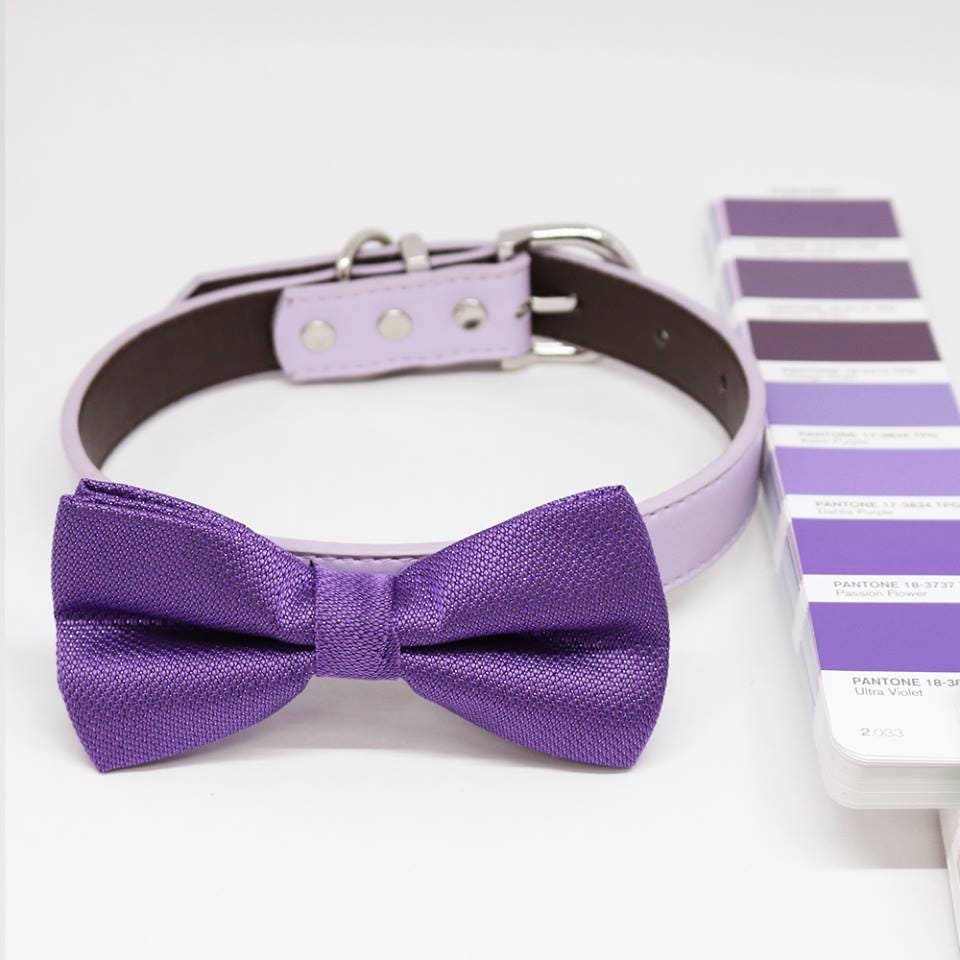 Ultra Violet Dog Bow Tie Collar Color of 2018 PANTONE | Etsy