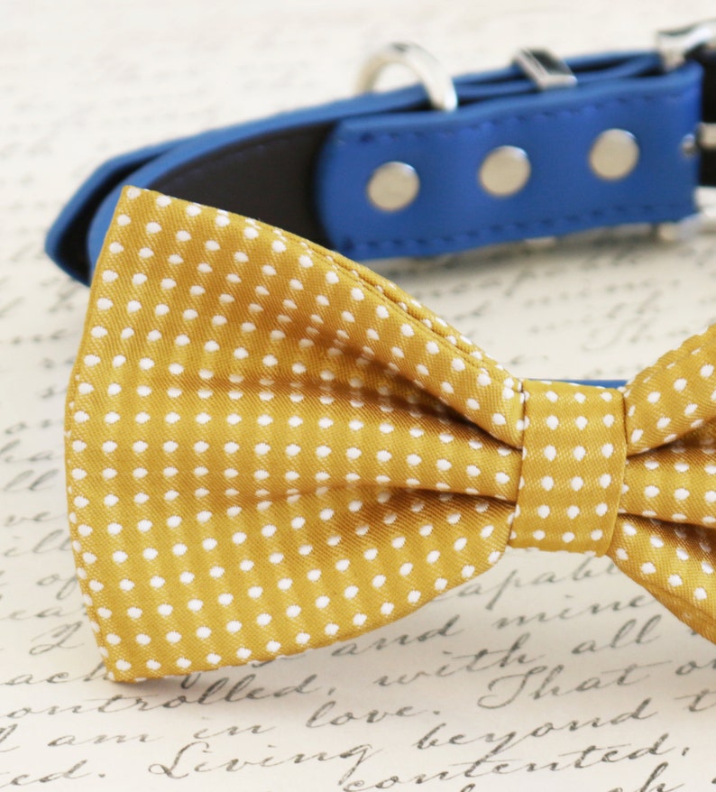 Mustard Bow Tie Bow Attachded to Blue Color Fall Color - Etsy