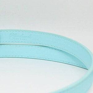 Blue Light Dog Leash Pet Wedding Accessory Blue Light - Etsy