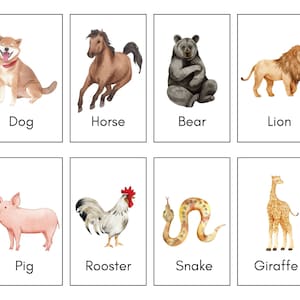 Printable Animal Themed Memory Game | Fun and Educational Game for Kids ...