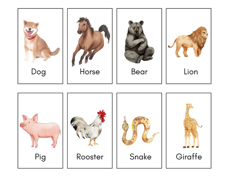 Printable Animal Themed Memory Game | Fun and Educational Game for Kids ...