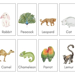 Printable Animal Themed Memory Game | Fun and Educational Game for Kids ...