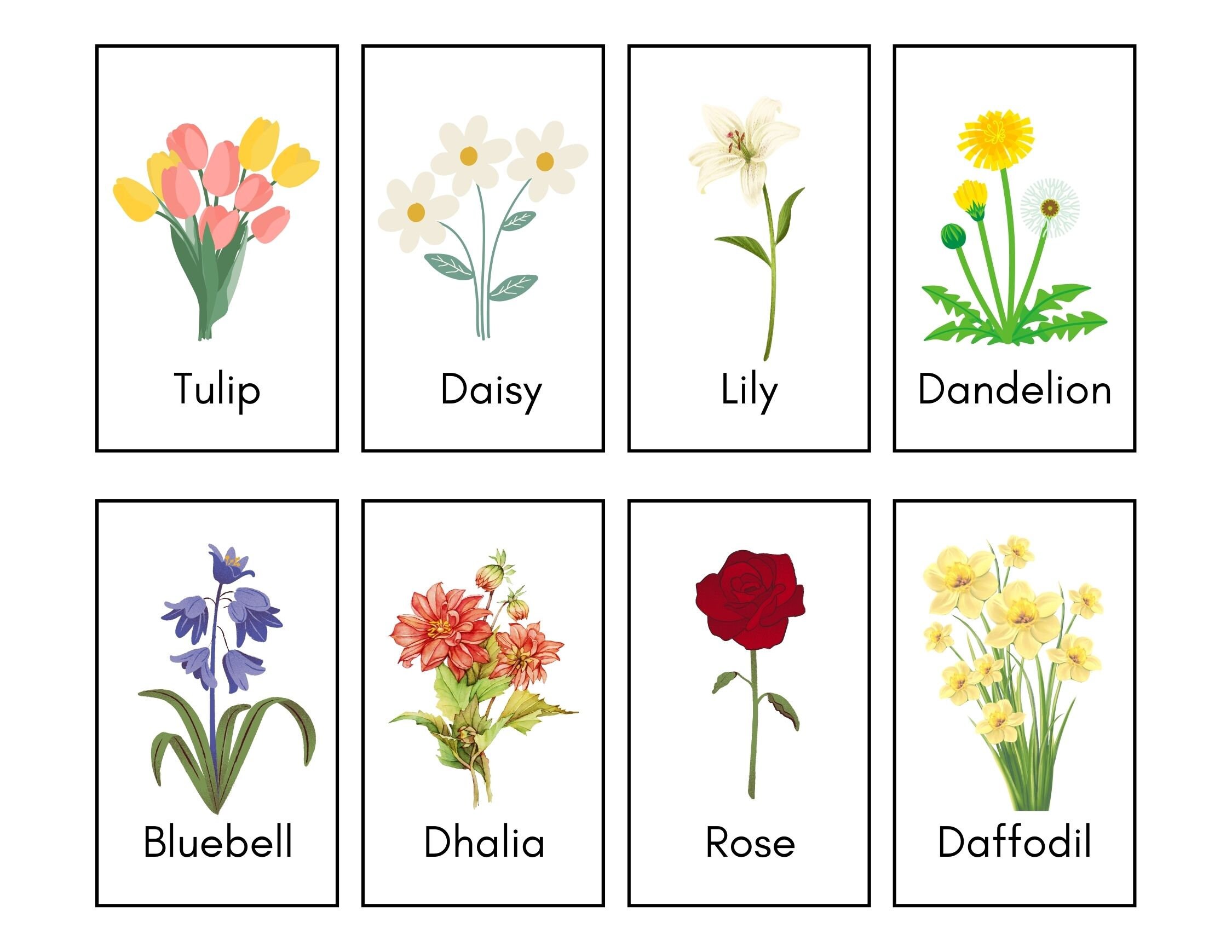 Printable Nature Themed Memory Game | Fun and Educational Game for Kids ...