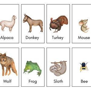 Printable Animal Themed Memory Game | Fun and Educational Game for Kids ...