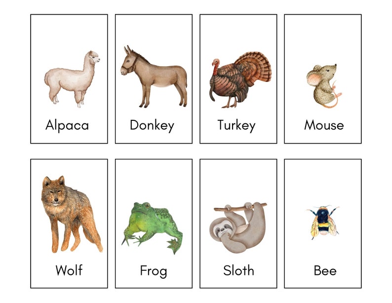 Printable Animal Themed Memory Game | Fun and Educational Game for Kids ...