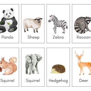 Printable Animal Themed Memory Game | Fun and Educational Game for Kids ...