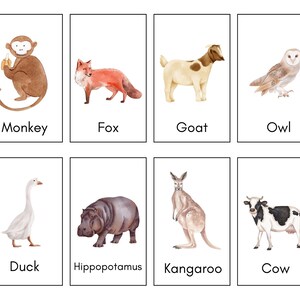 Printable Animal Themed Memory Game | Fun and Educational Game for Kids ...