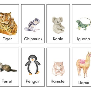 Printable Animal Themed Memory Game | Fun and Educational Game for Kids ...