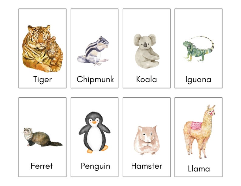 Printable Animal Themed Memory Game | Fun and Educational Game for Kids ...