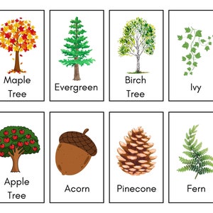 Printable Nature Themed Memory Game | Fun and Educational Game for Kids ...
