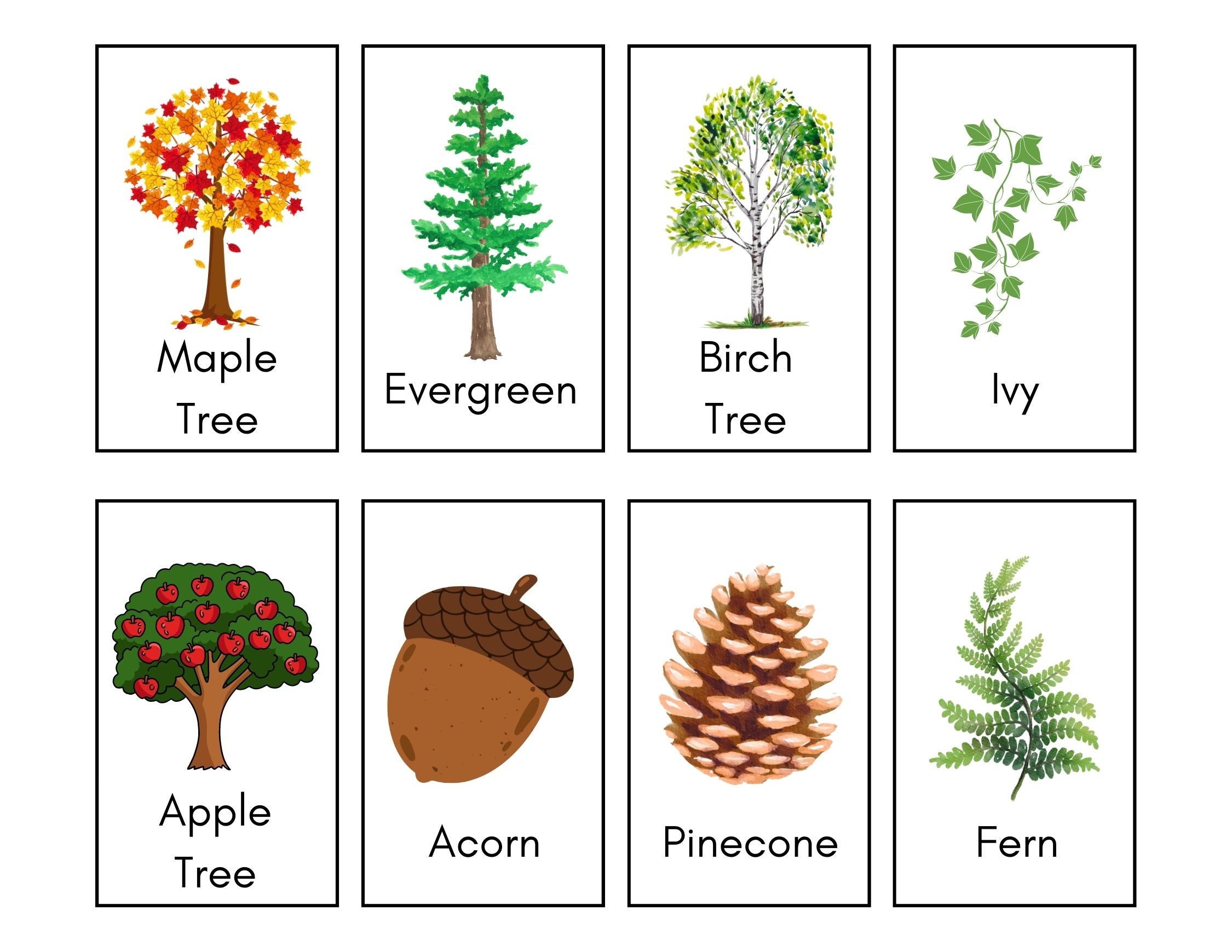 Printable Nature Themed Memory Game | Fun and Educational Game for Kids ...