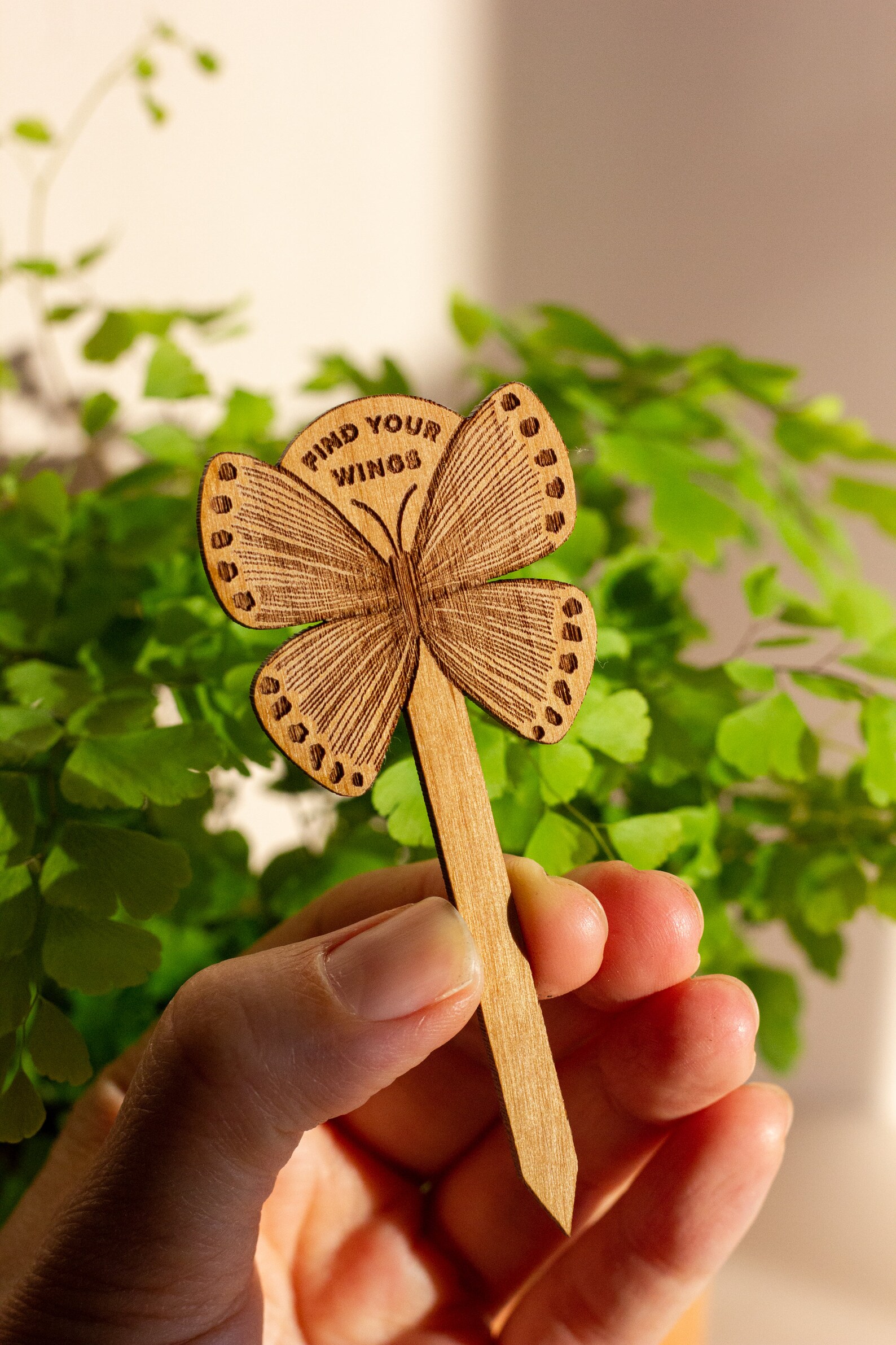 Find Your Wings Butterfly Wood Plant Pick [encouraging, Uplifting ...