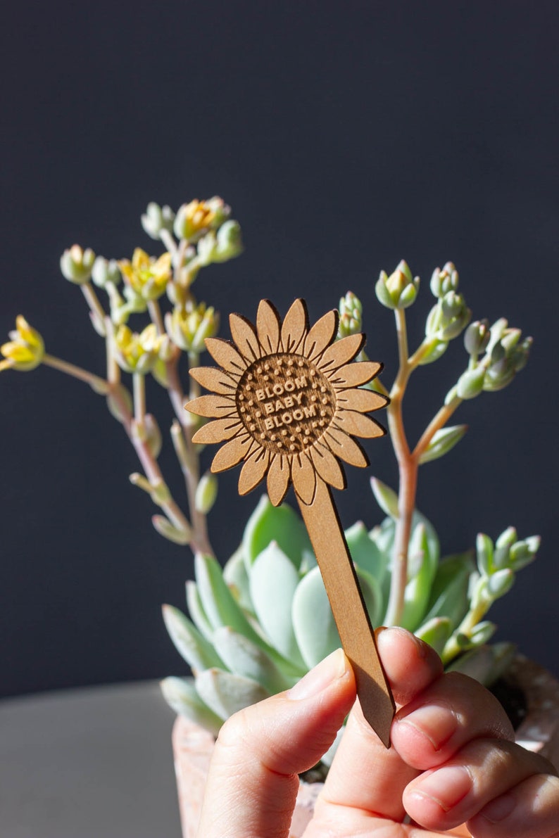 Bloom Baby Bloom Sunflower Wood Plant Pick [encouraging, Uplifting ...