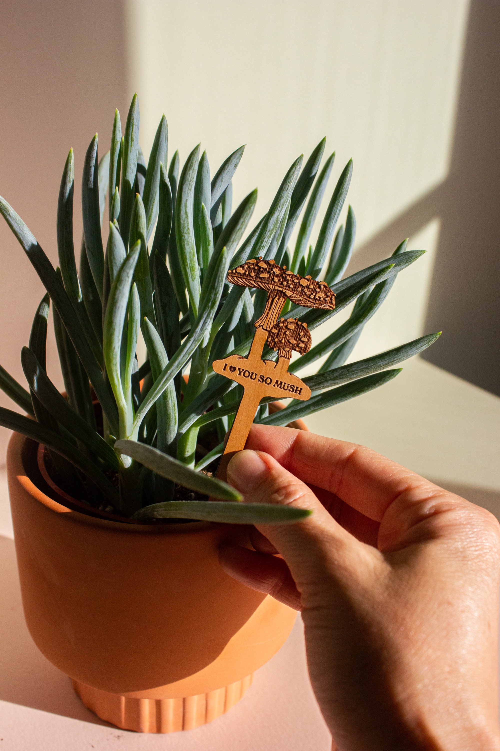 I Love You so Mush Mushroom Wood Plant Pick [valentine's Day Gift ...