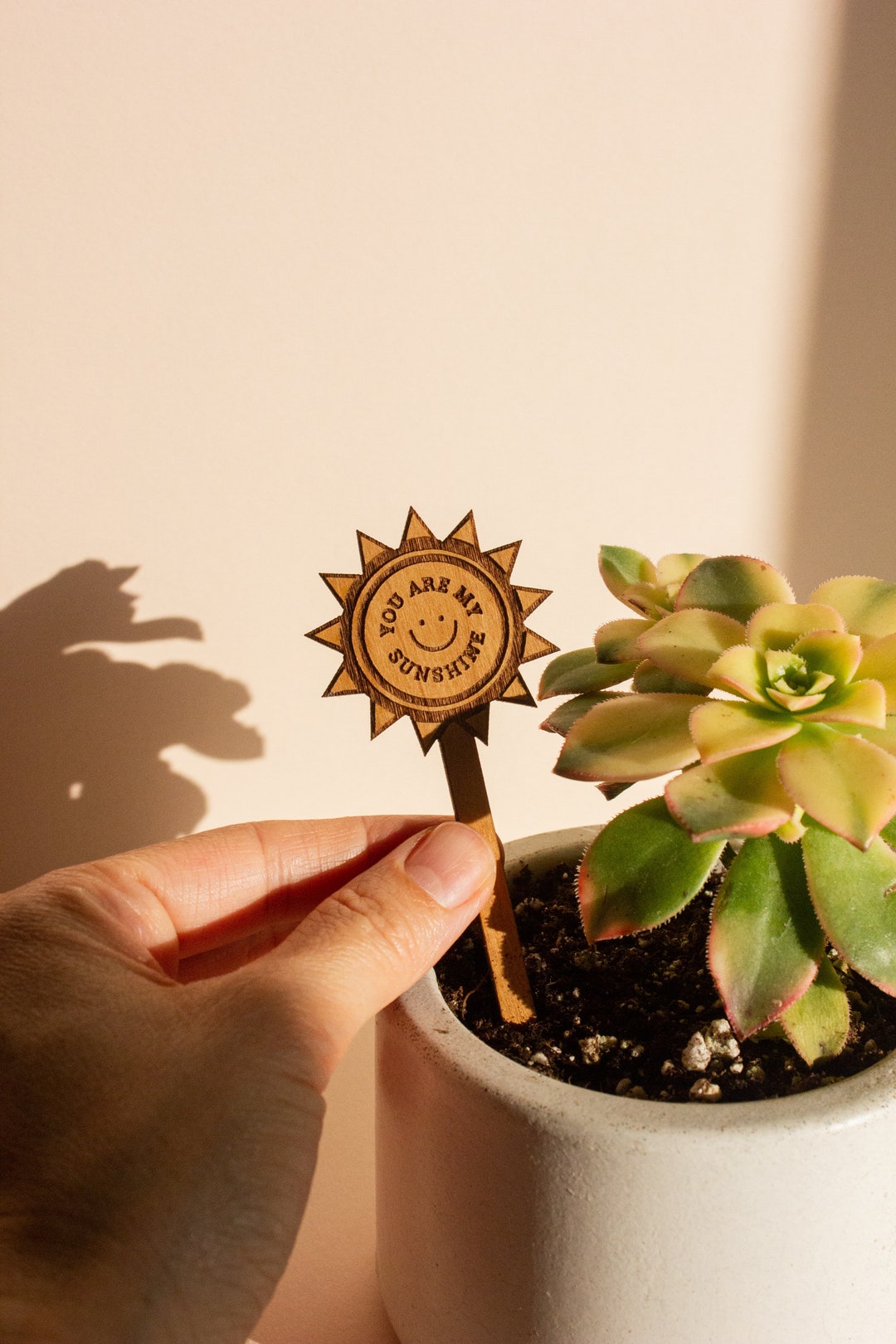You Are My Sunshine Wood Plant Pick [encouraging, Uplifting, Houseplant ...