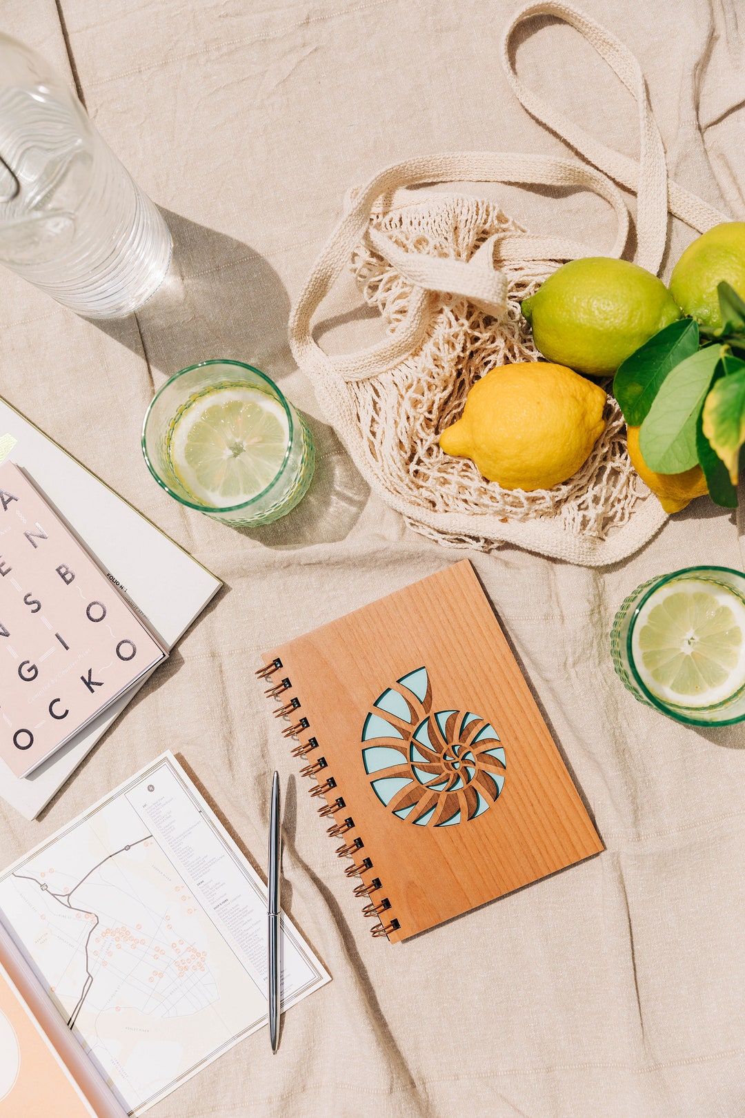 Nautilus Shell Wood Journal [notebook, Sketchbook, Spiral Bound, Blank ...