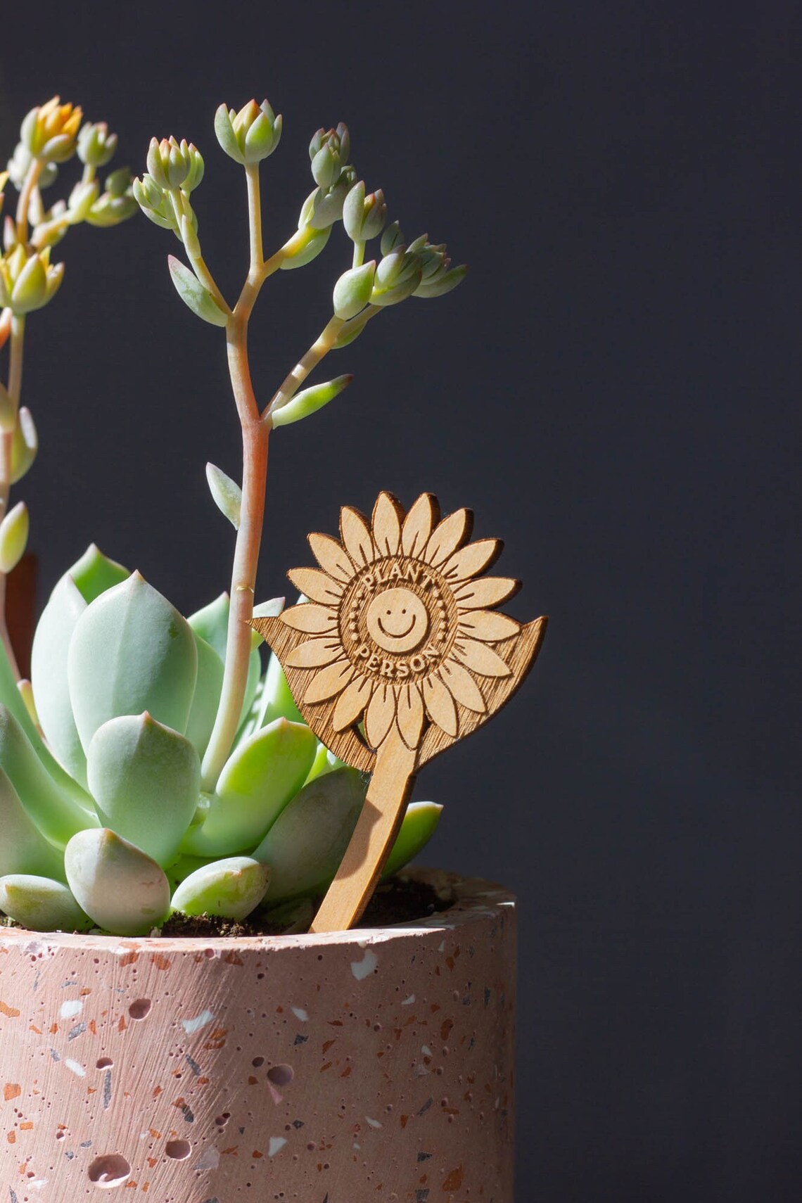 Plant Person Daisy Wood Plant Pick encouraging Uplifting | Etsy